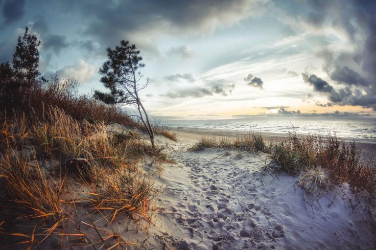 2025-05-26 | Kviečiame dalyvauti WMO 2026 m. kalendoriaus fotografijų ...